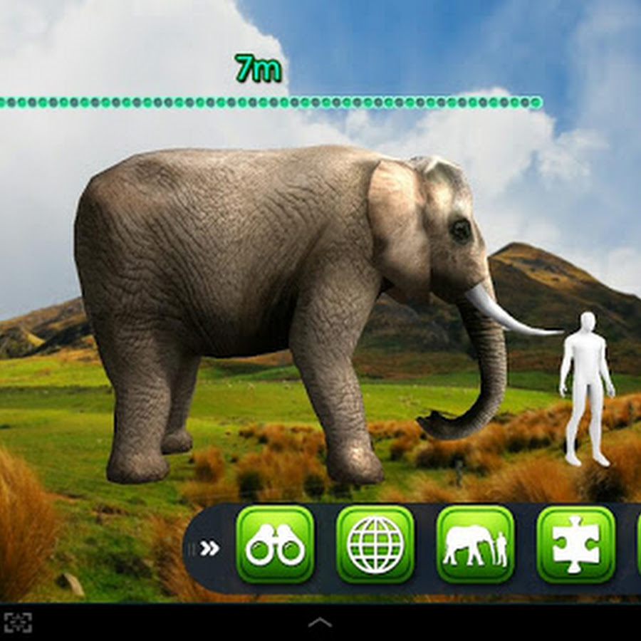 Animals That Start With Ar Inspec Wallp Animals