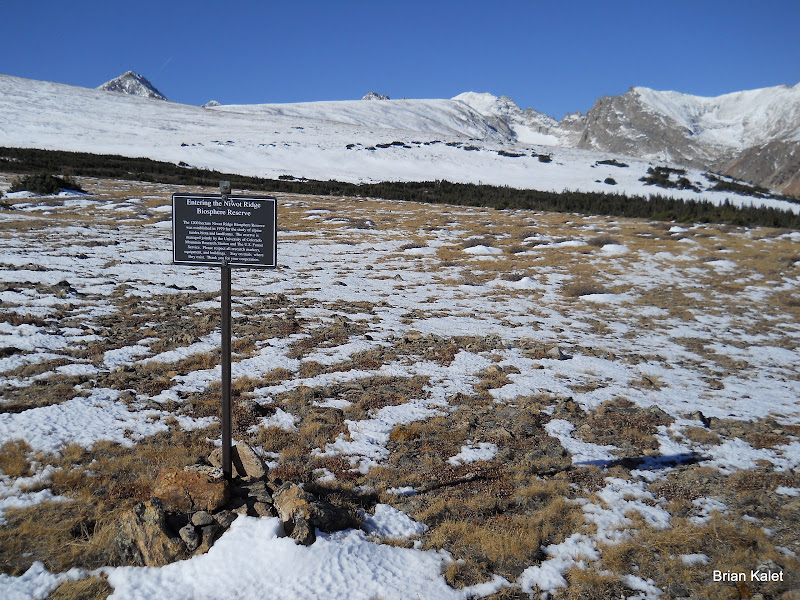 Navajo Peak & Niwot Ridge : Trip Reports : SummitPost