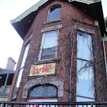 Hess Village In Hamilton Is The Best Place To Celebrate St. Patrick's ...