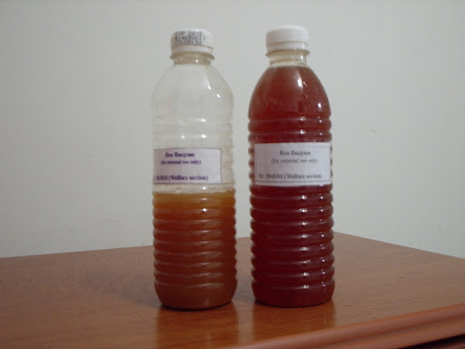 BMSM WELFARE SECTION: Eco Enzyme - Nature's miracle