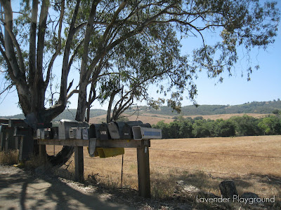 Lavender Playground: June 2010