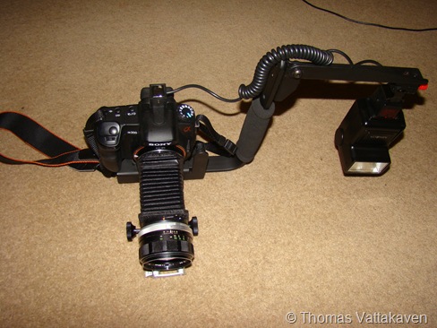 Nature Magnified: DIY Macro Flash Bracket