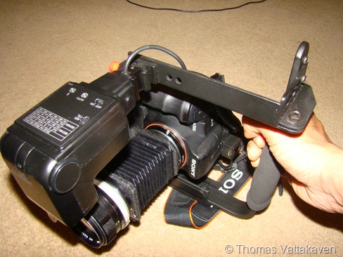 Nature Magnified: DIY Macro Flash Bracket