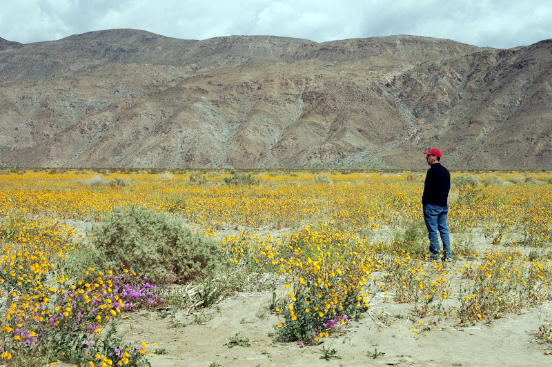 Is So Cal a Desert? - Weeding Wild Suburbia