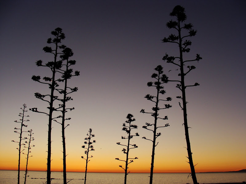 art through photography: infinity and beyond