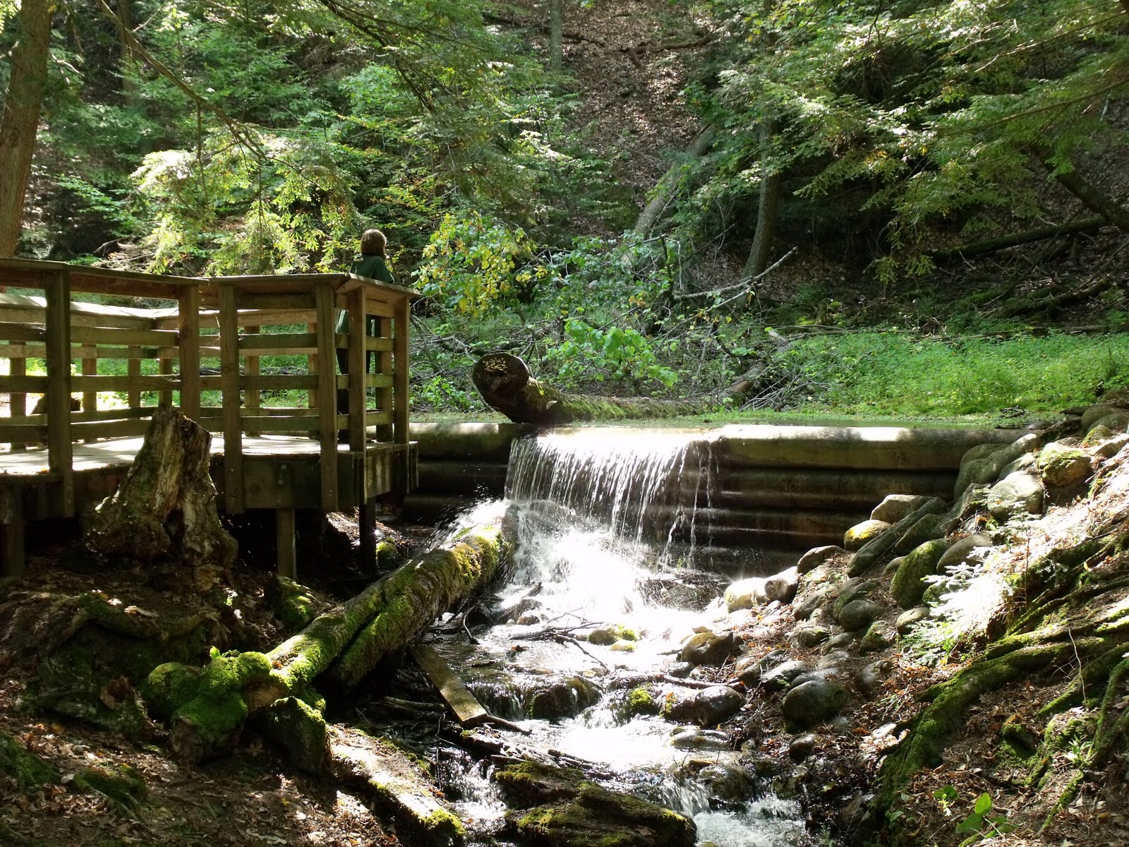 Northern Information Sights: Iargo Springs