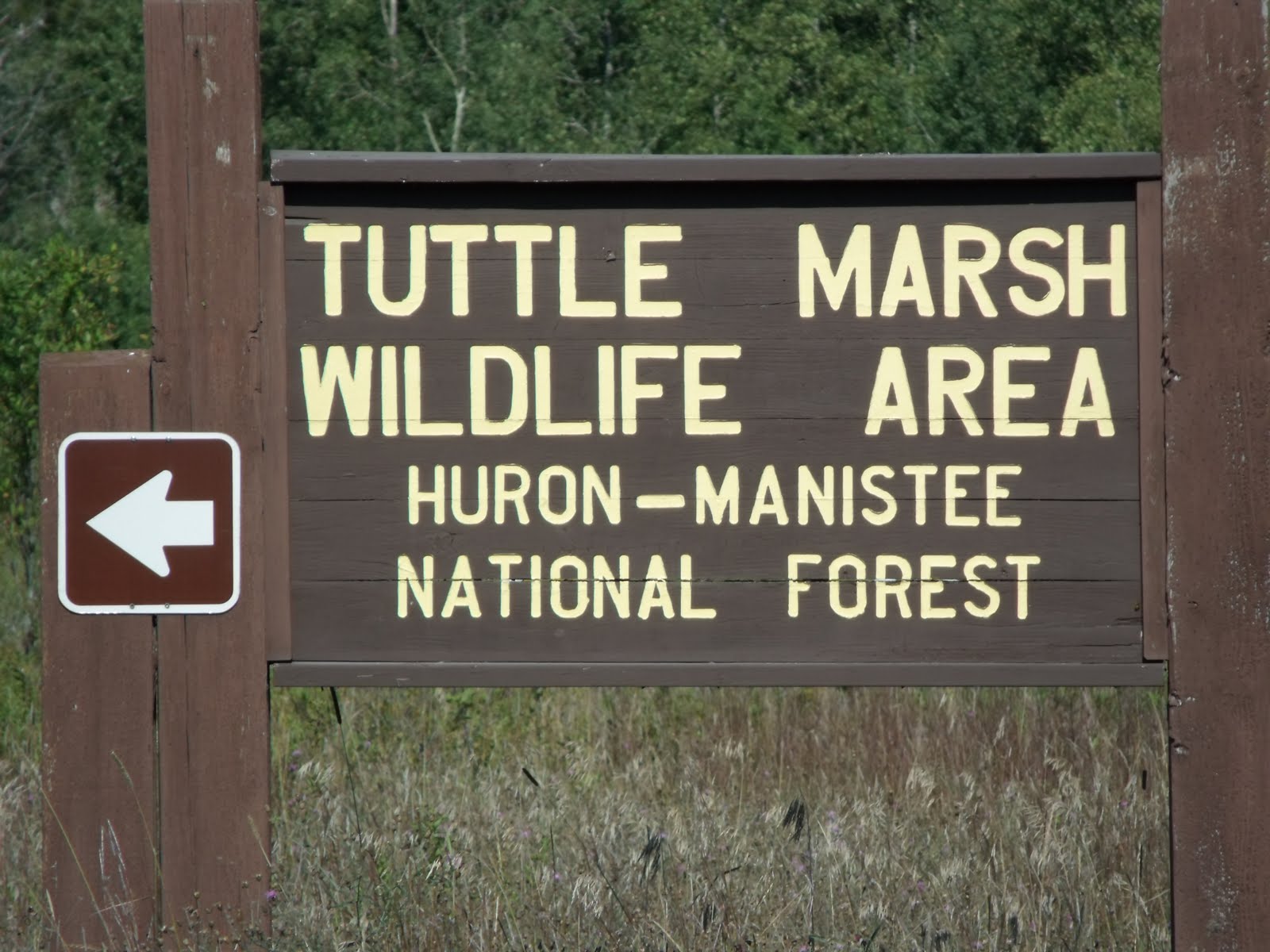 Northern Information Sights: Tuttle Marsh