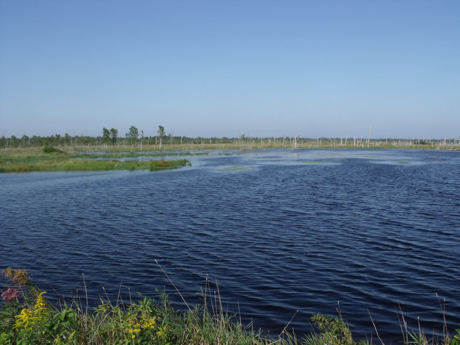 Northern Information Sights: Tuttle Marsh