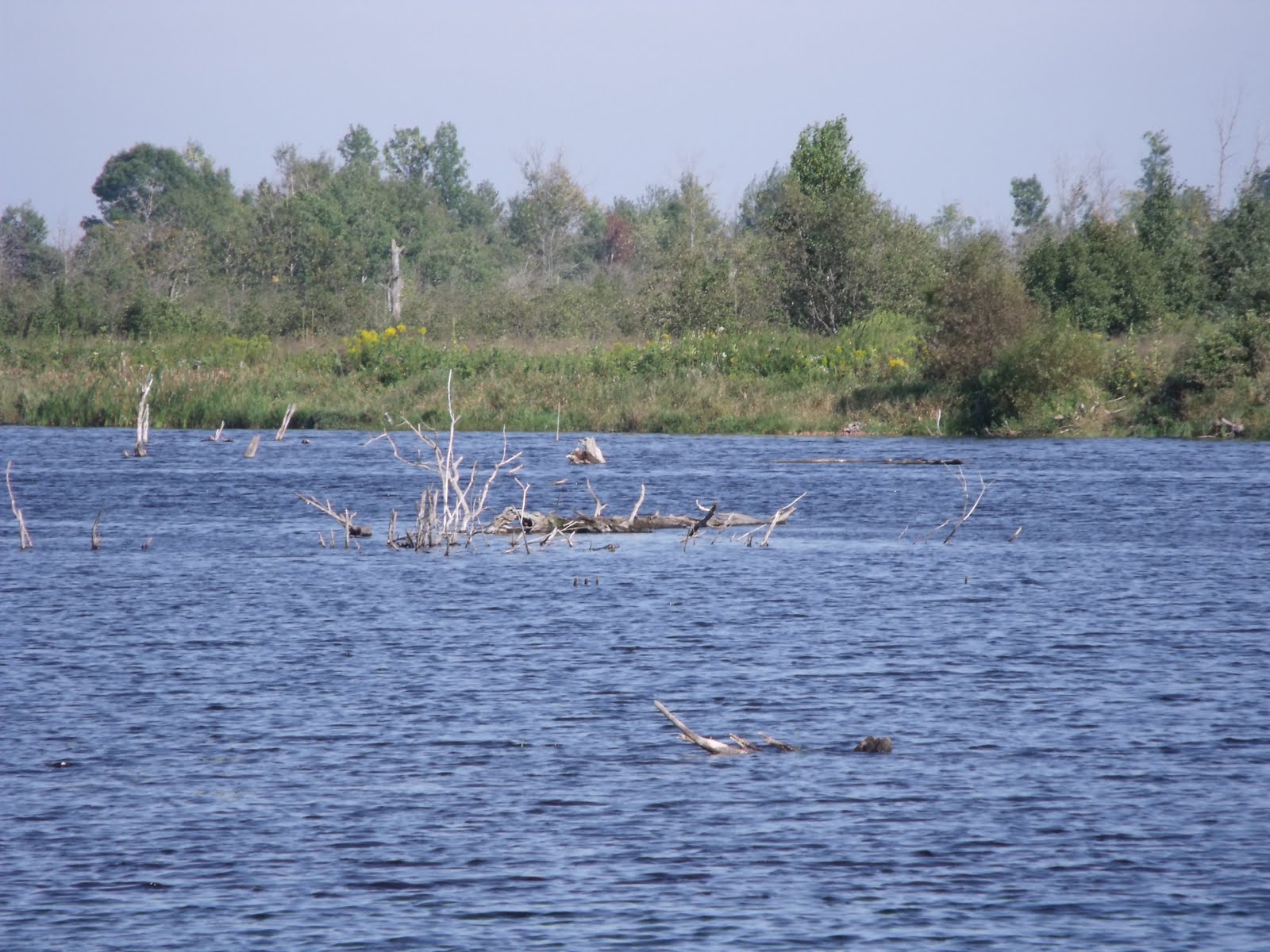 Northern Information Sights: Tuttle Marsh