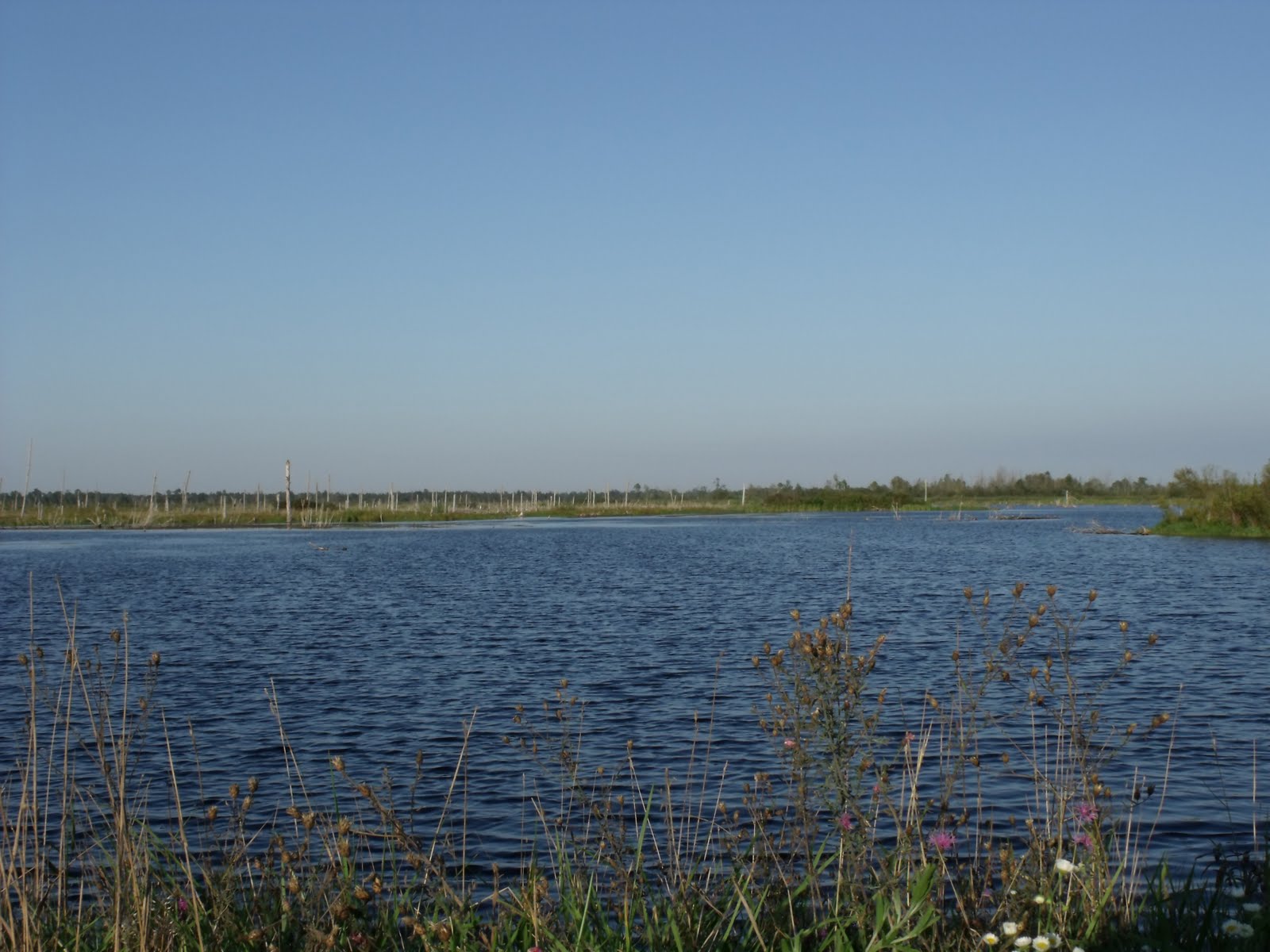 Northern Information Sights: Tuttle Marsh