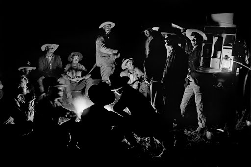 Open-Range Cattle Ranching in the Southwest — Google Arts & Culture