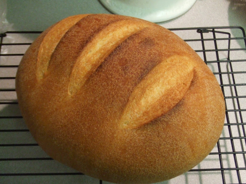 Daily Bread | madfoodscientist