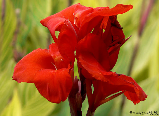 An Eye For Beauty: October 2005