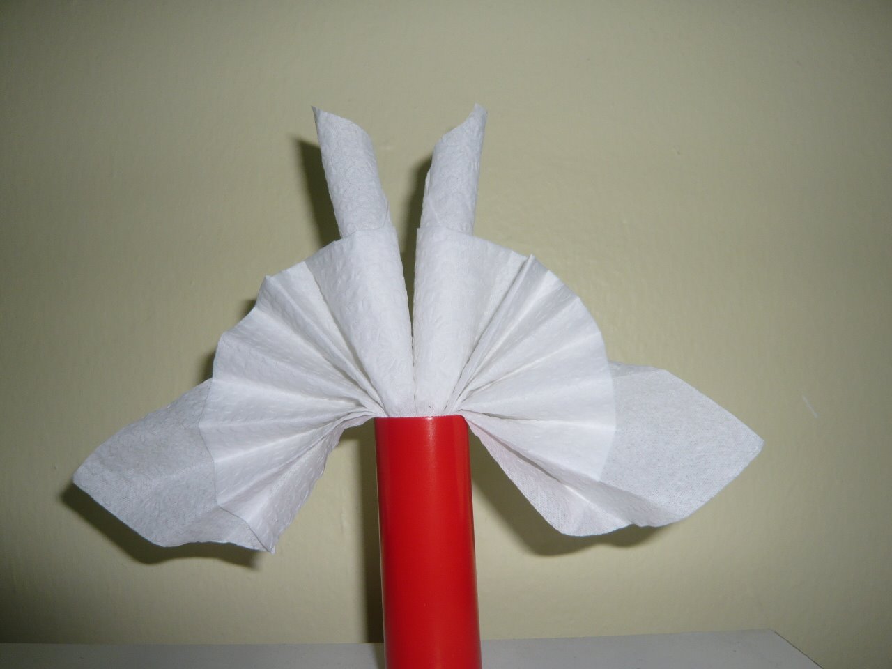 This is an illusion..: Napkin Folding #1