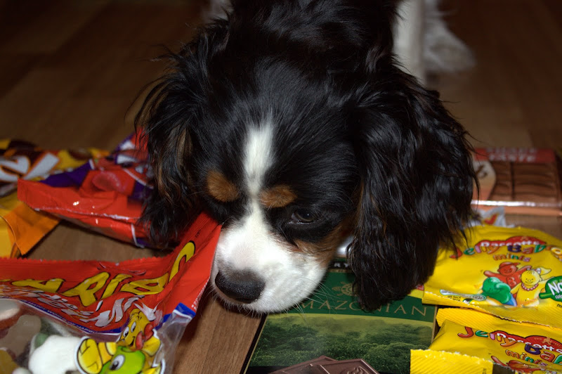 NeoGAF Candy Swap - July '09 | Page 7 | NeoGAF