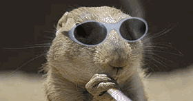 Ah Doido!!!!!: GIFS:PARTE 1