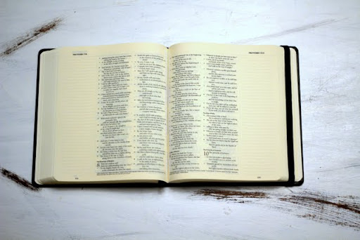 ESV Journaling Bible | Visual Journal
