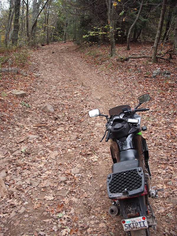 Shenandoah 500 pics- TONS! | Adventure Rider