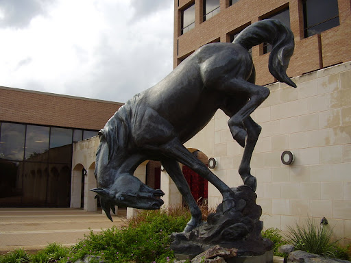 Fill Up My Cup/ UTPA: Senior Year | 87 'Till Forgotten