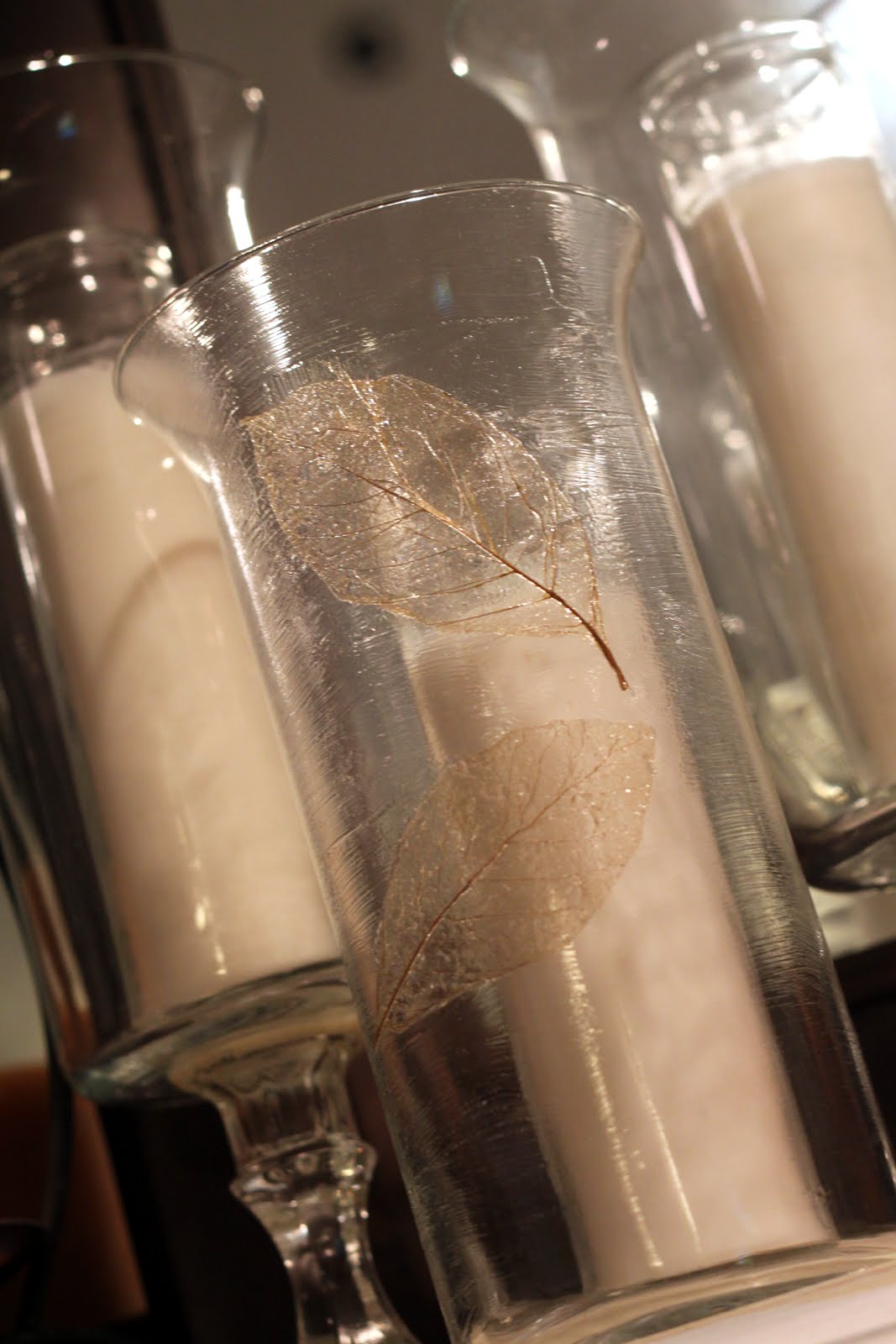How To Make Leaf Skeletons The Idea Room