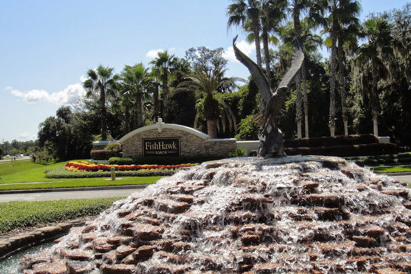 Fishhawk Ranch Pool Homes