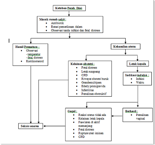 Ketuban Pecah Dini (KPD) ~ Seputar Kedokteran