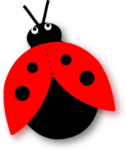 Dibujos de catarinas a color - Imagui