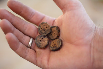 Homegrown Happy: DIY: Homemade Buttons