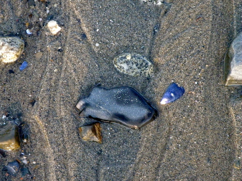 Some really cool Rocks | US Message Board 🦅
