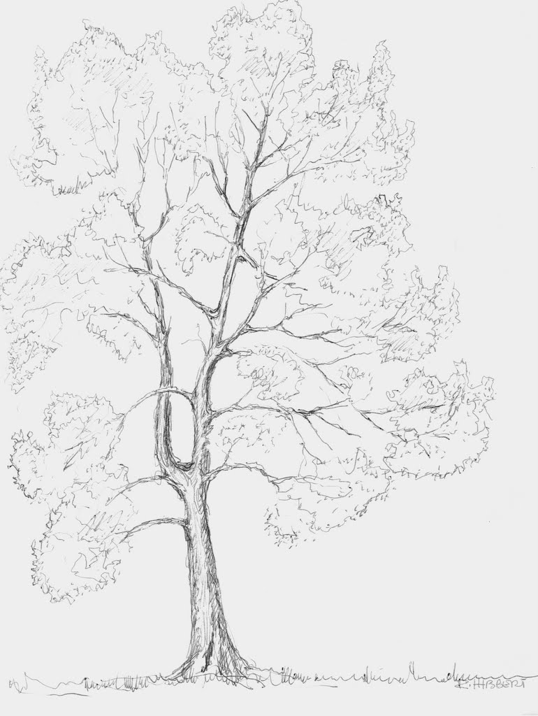 Commemorating the art of Richard Tudor Hibbert: Tree (untitled sketch)