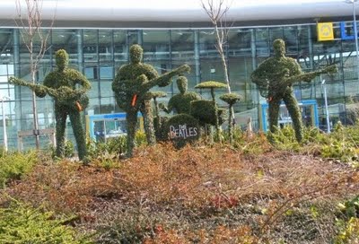 Wonder Garden: Wonder Garden