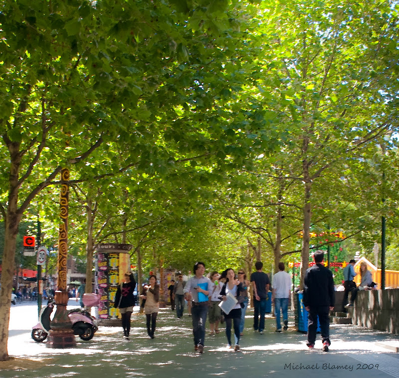 Melbourne Today: Enjoying Swanston Street's plane trees
