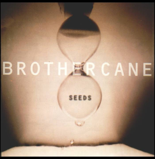 EL INDI-C DE ERICK: RANKING ANUAL 1995