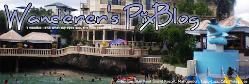 Wanderer's PixBlog: Mactan Blue Reef Island Resort