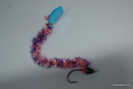 » Topic: Braided worms