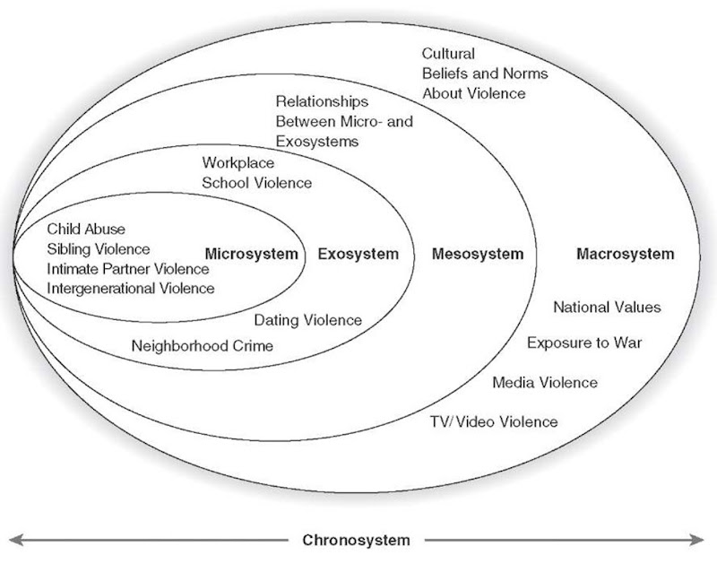 Ecological Models of Violence