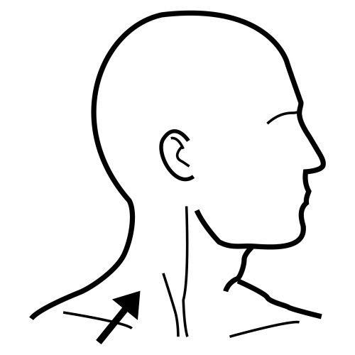 PICTOGRAMAS DEL CUERPO HUMANO PARA NIÑOS