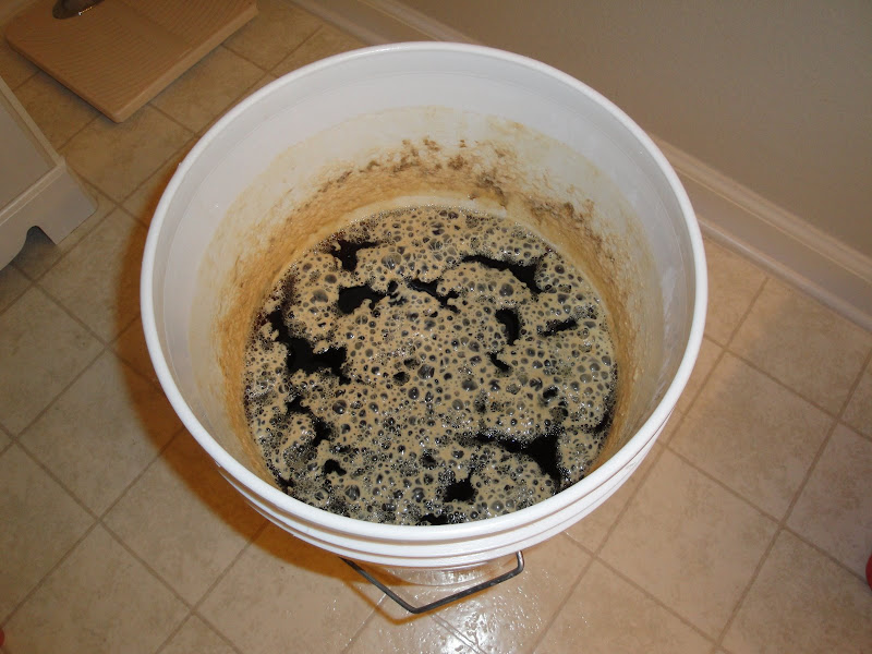 Pellicle or Krausen | Homebrew Talk - Beer, Wine, Mead, & Cider Brewing ...