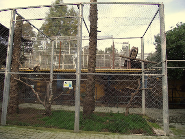 Zoos del Mundo - Zoo de Sevilla - Otros zoológicos españoles