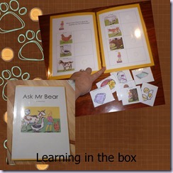 Learning in the Box: Ask Mr Bear Rowed Feb 2011