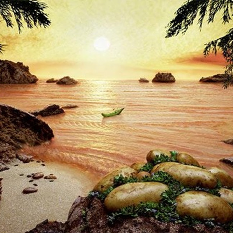 Amazing food landscapes by Carl Warner | Amusing Planet