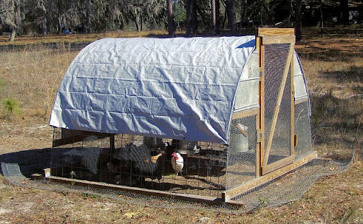 turkey tractor design. need help! | BackYard Chickens - Learn How to ...