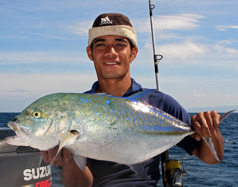 Fijian Sea bass and Bluefin Trevally | Bloodydecks