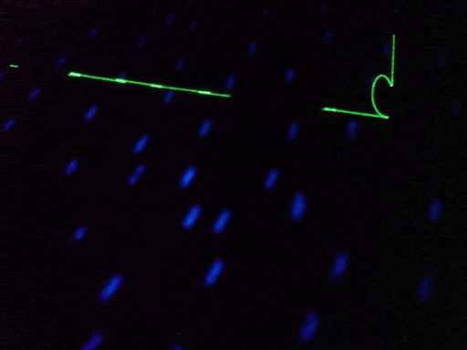 "Lasers Rave" GIF ~ GIF 2 DIE 4