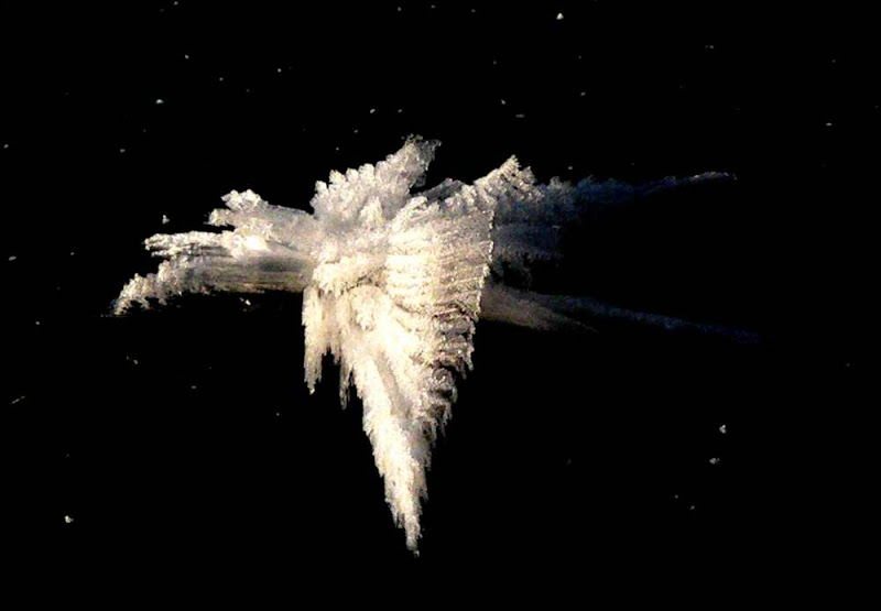 Ice Feathers | Adventure Rider