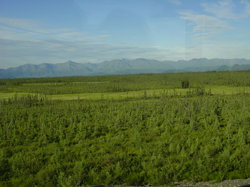 Theatres to the taiga biome "taiga boreal forest food web || taiga ...