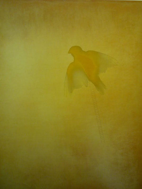 Le Zèbre bleu: ADAM FUSS