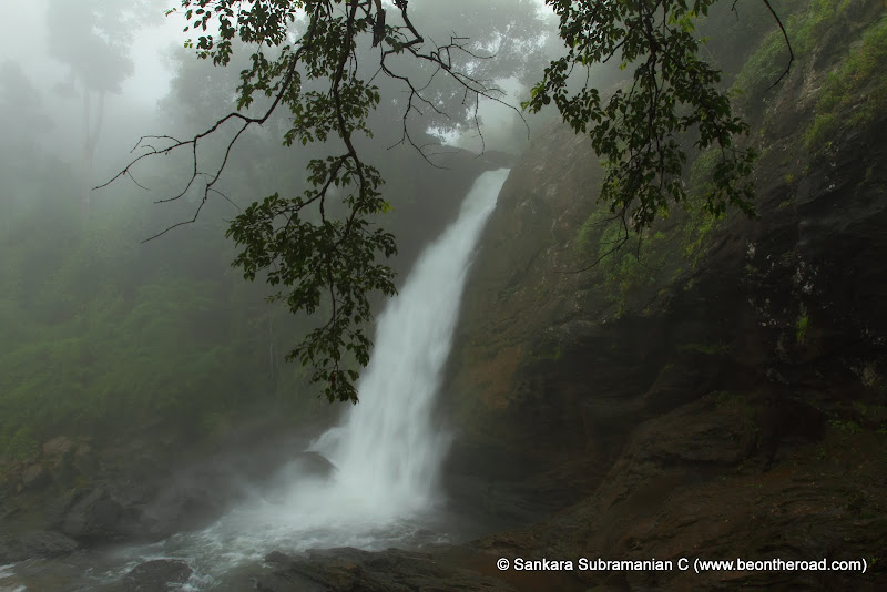 Soochipara Falls In The Monsoons Be On The Road Live Your Travel Dream 