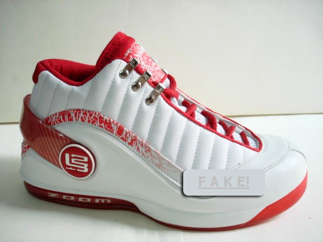 Fake LeBron VI | NIKE LEBRON - LeBron James Shoes