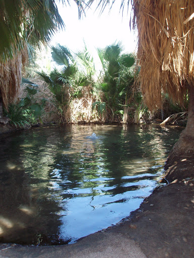 Five Palms - Soakers Forum